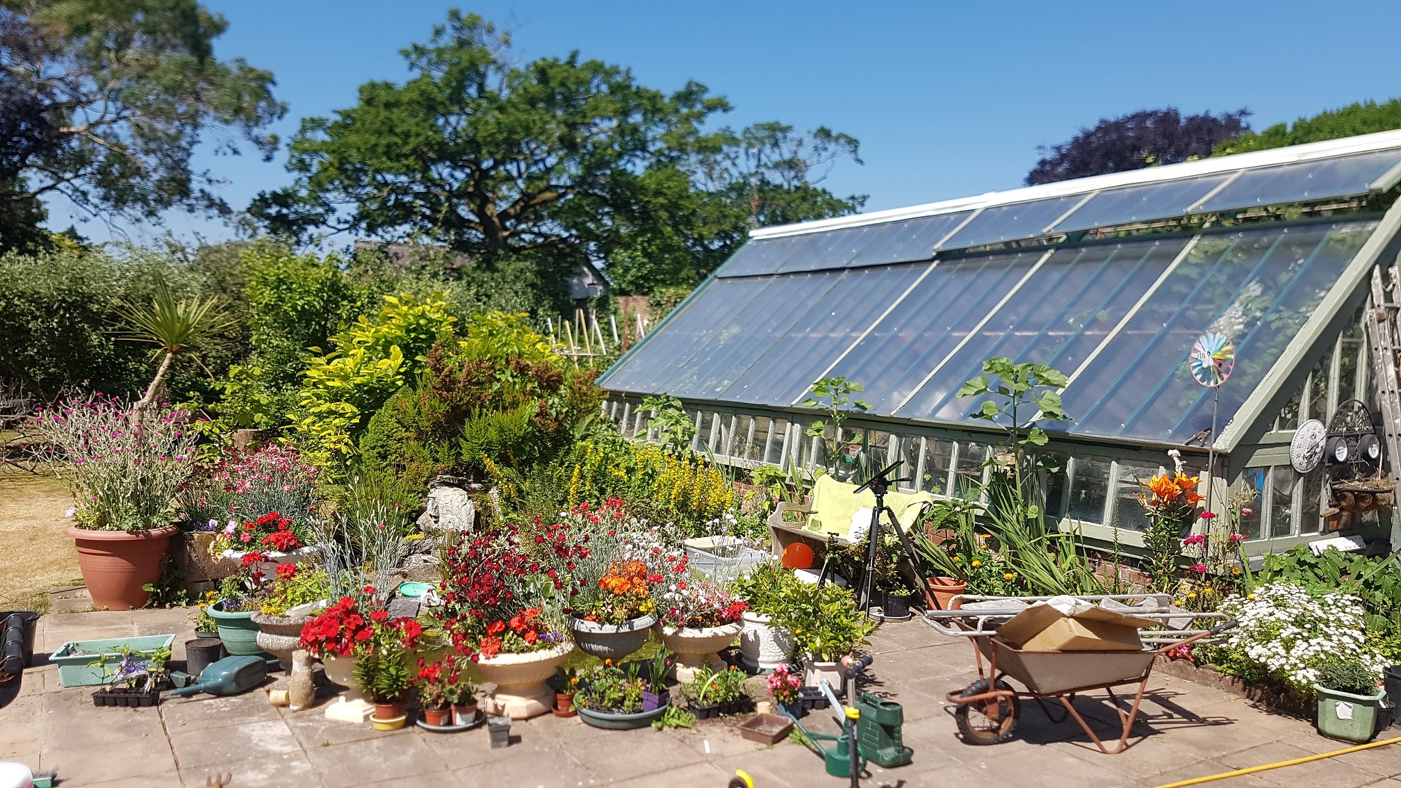 Homepage - Enchanted Plants Nursery